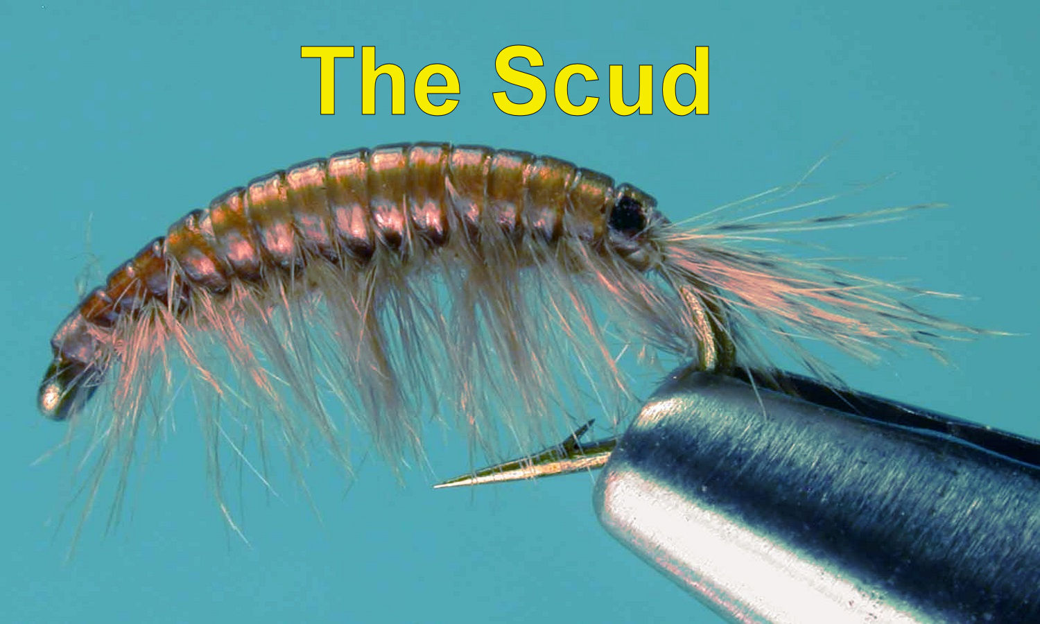 Scuds - The Drift Boat Detective